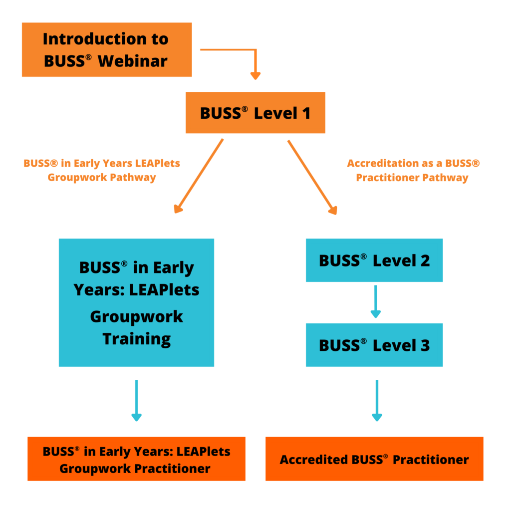Training - The BUSS Model